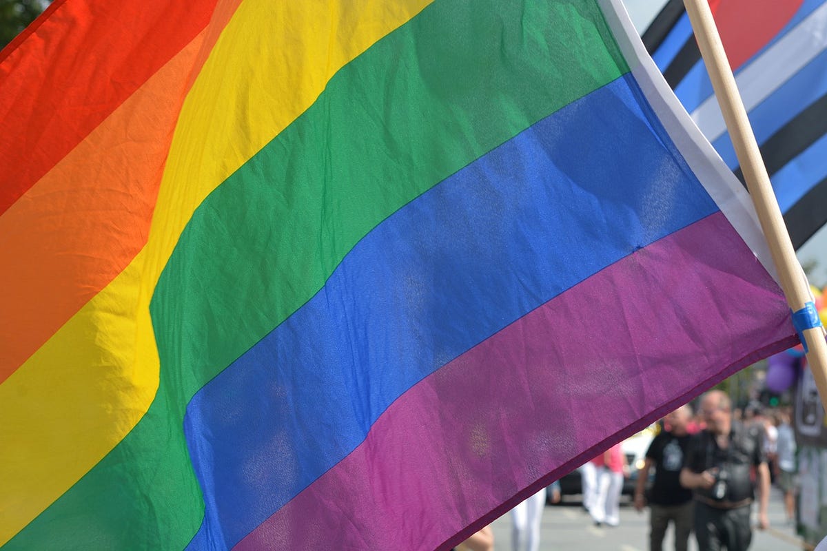 LGBT History Month: How Barbara Gittings Changed the World | by Summer ...