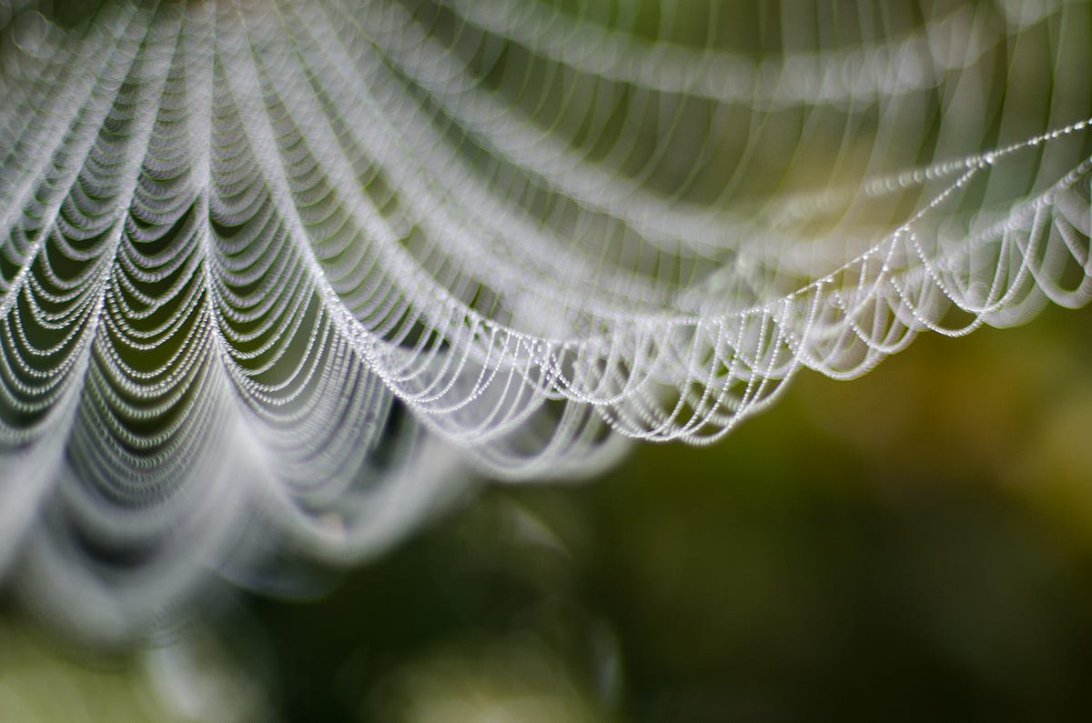 A Quicker Way To Build Datasets Through Web Scraping By William Yang Towards Data Science