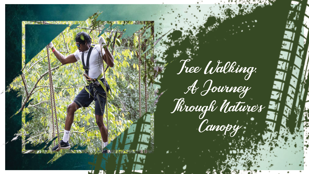 TREE WALKING: BEST JOURNEY THROUGH NATURE’S CANOPY | by Sneha Gupta ...