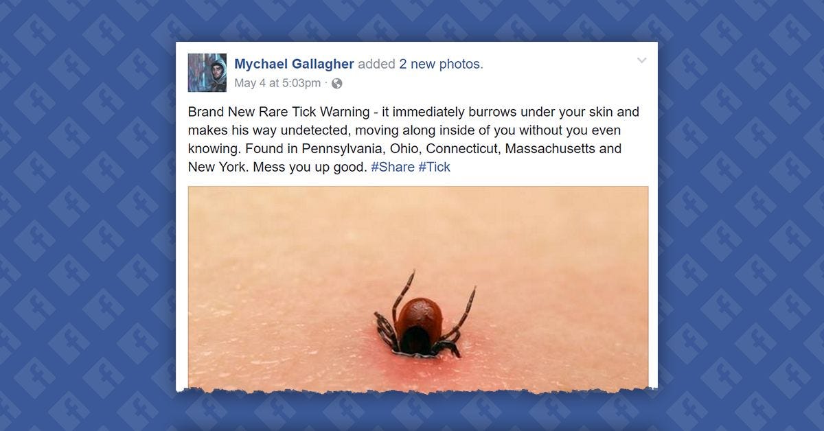 Fake News: A New Tick that Burrows Under Skin? | by Bridgette Rossi ...