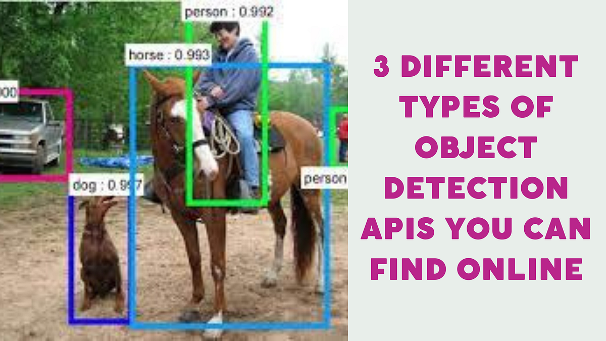 3 Different Types Of Object Detection APIs You Can Find Online | by TheStartupFounder.com | Medium