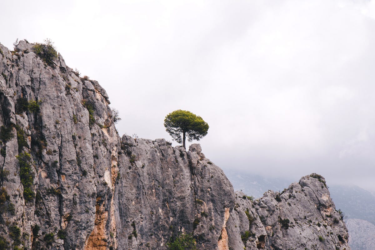 How to create a lean, tree-shakeable React Design System library | by ...