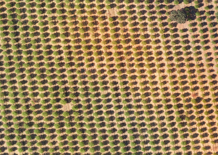 Introducing our Chlorophyll Index map layer – More Health Data for your ...