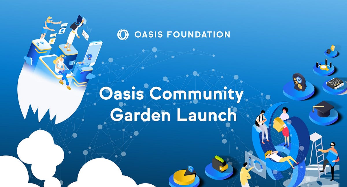 Introducing the Oasis Community Garden | by Rani | Oasis Foundation ...
