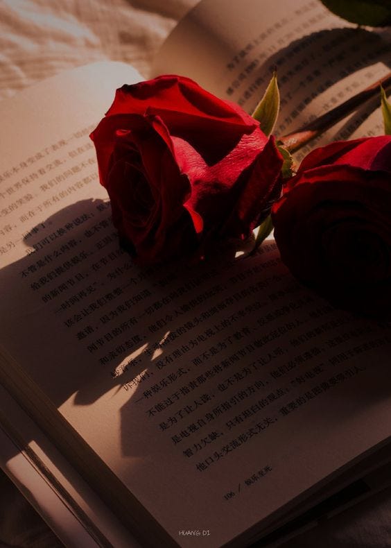 Story Of A Red Rose. She was sitting by the couch and… | by Marva | Medium