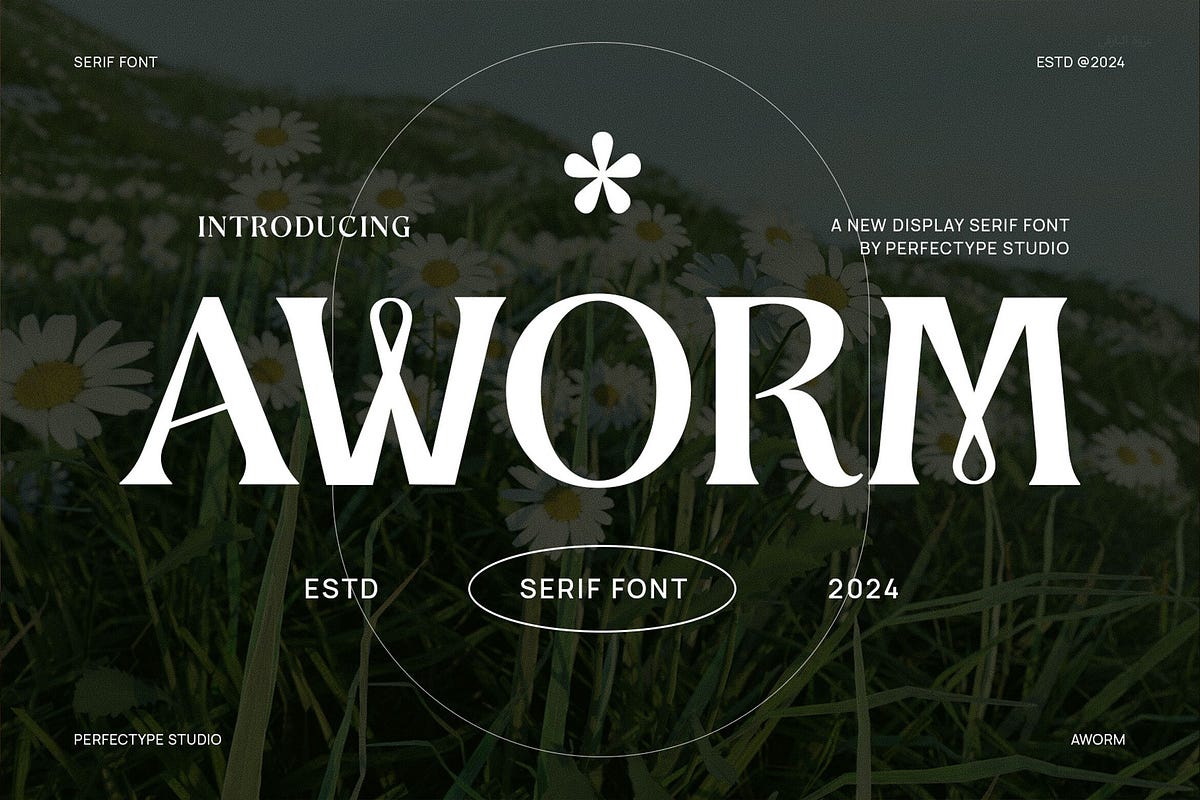 Aworm Font OTF | by Lilylabyrinthine | Apr, 2024 | Medium