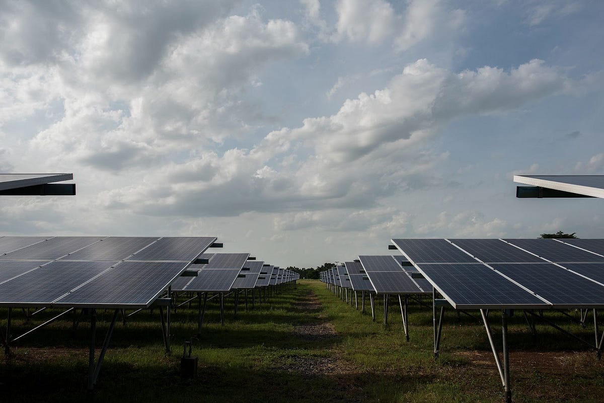 Solar Panels vs Biodiversity… No Need to Choose! | by Rhino Eco | Rhino ...