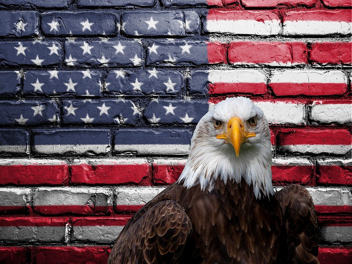 From Politics To Tech. The Fusion In Depth | by Msfireballsmom ...
