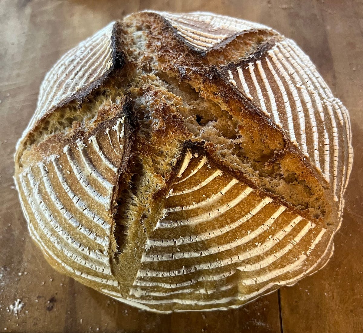 To prepare for disasters, learn to feed yourself | Medium