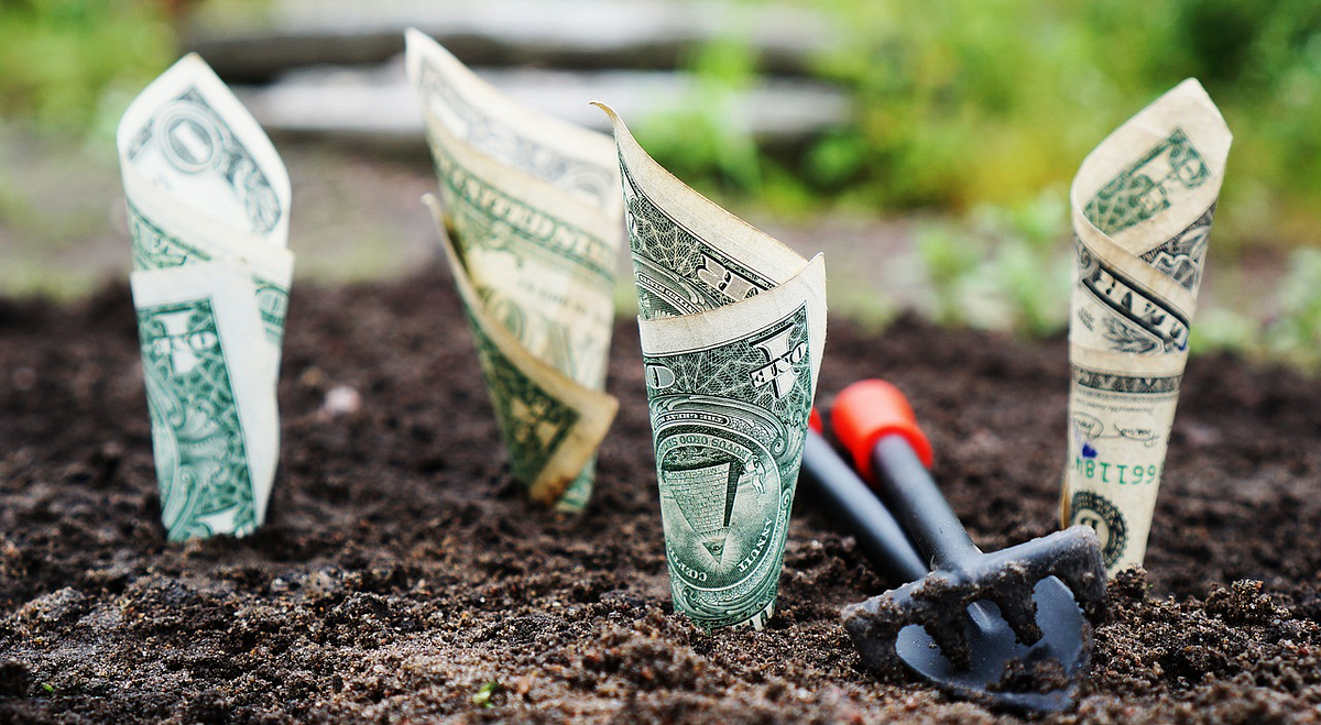 What Is Your Money Blueprint? And How Can You Change It? | by ...