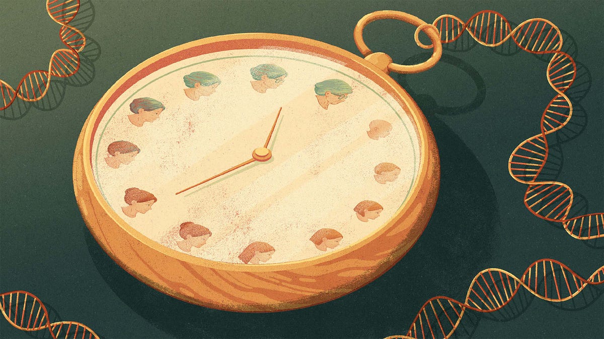 Stem Cells: Sending Our Cells Back In Time | by Adeline Lai | students ...