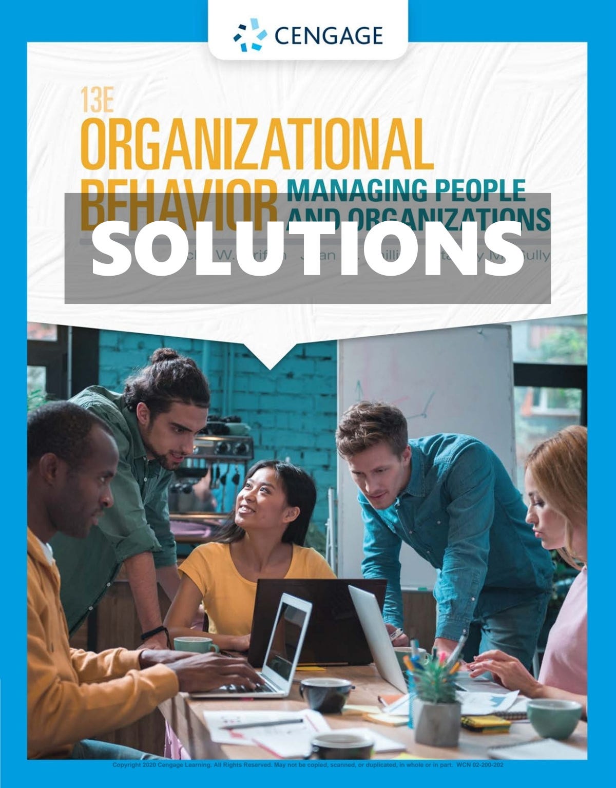 Solutions Manual for Organizational Behavior Managing People and ...