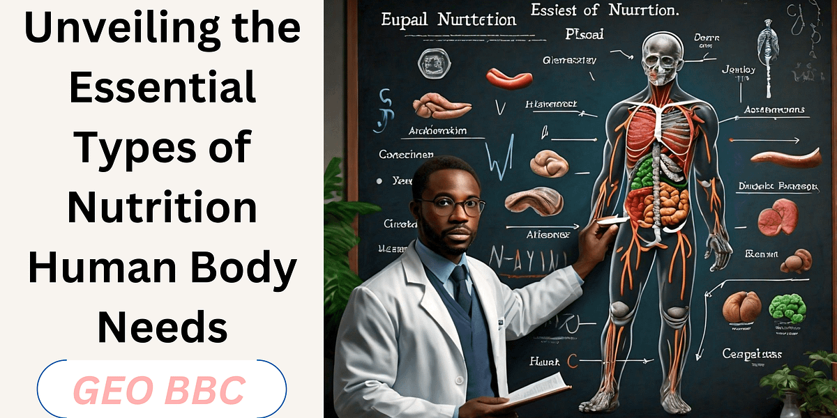 unveiling-the-essential-types-of-nutrition-human-body-needs | by geobbc ...