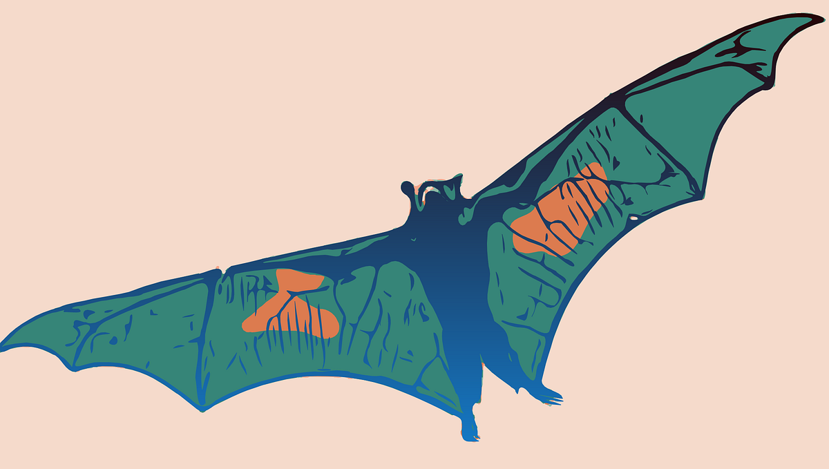 You Old Bat; Let’s Talk the Biology of Longevity | by Flat World ...