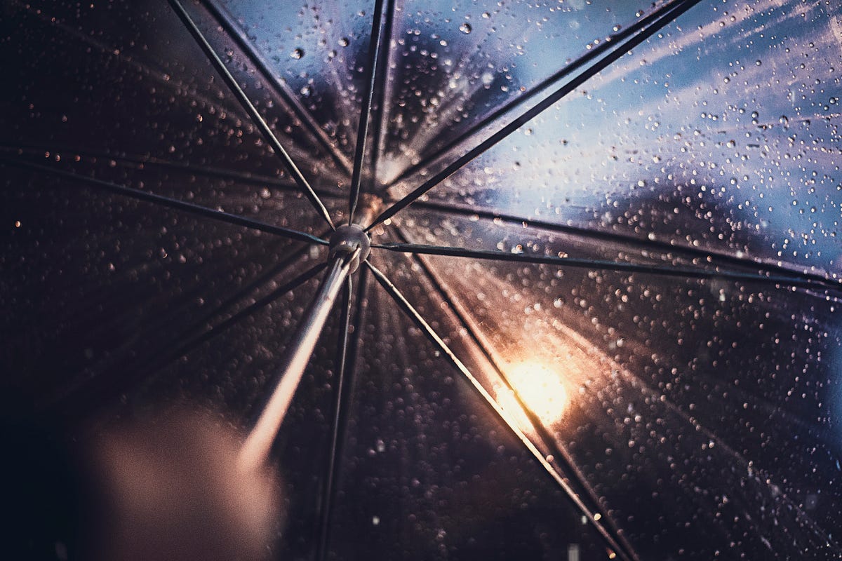 A Little Fall of Rain. Although it’s Summer, it’s been feeling… | by ...