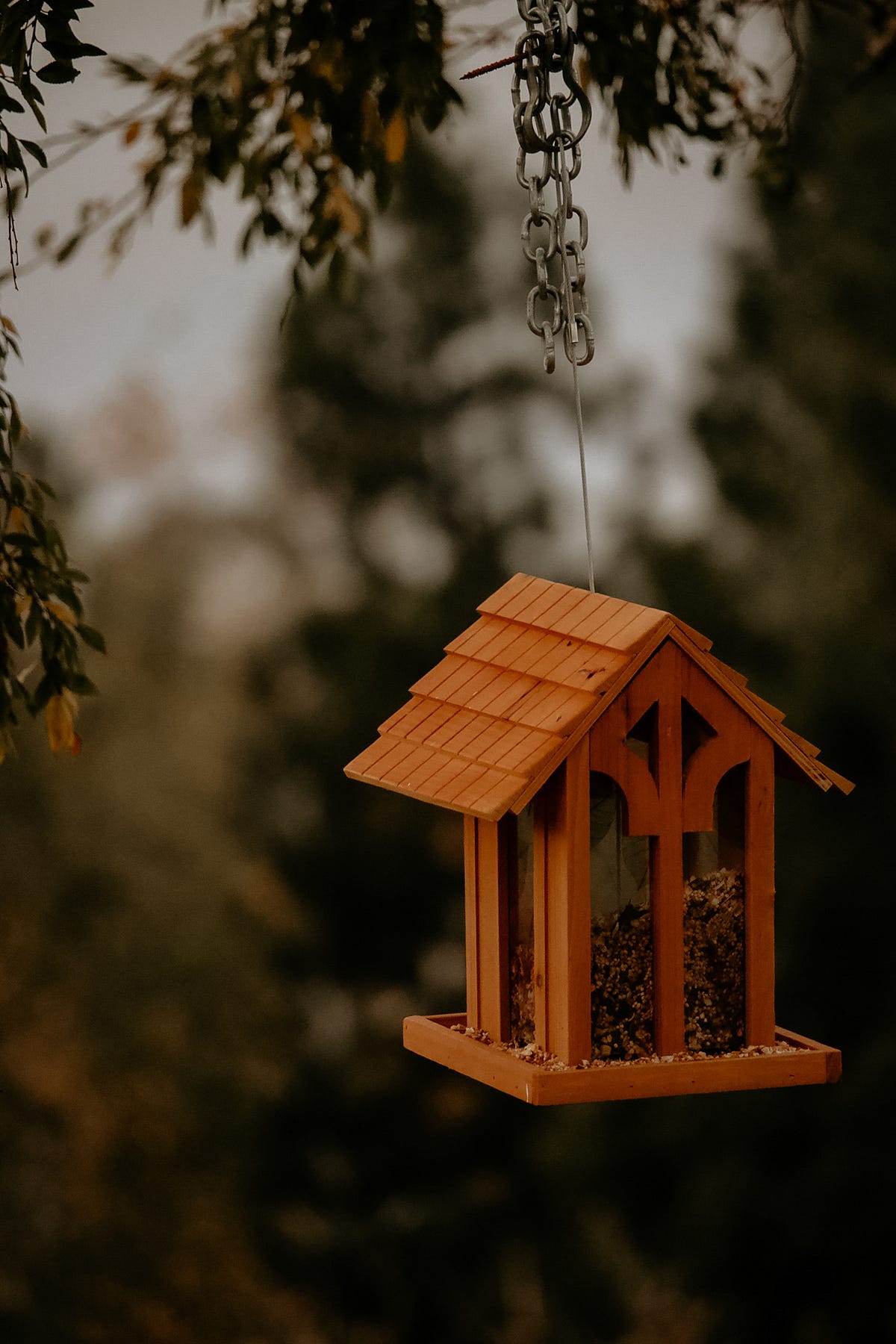 The Cross and the Bird Feeder. Why the cross is more than a decoration | by Brad Creech ...