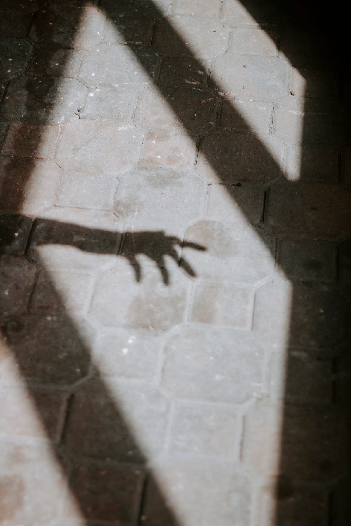 I Tripped on Your Shadow. Please, please, leave me alone | by Suddenly ...