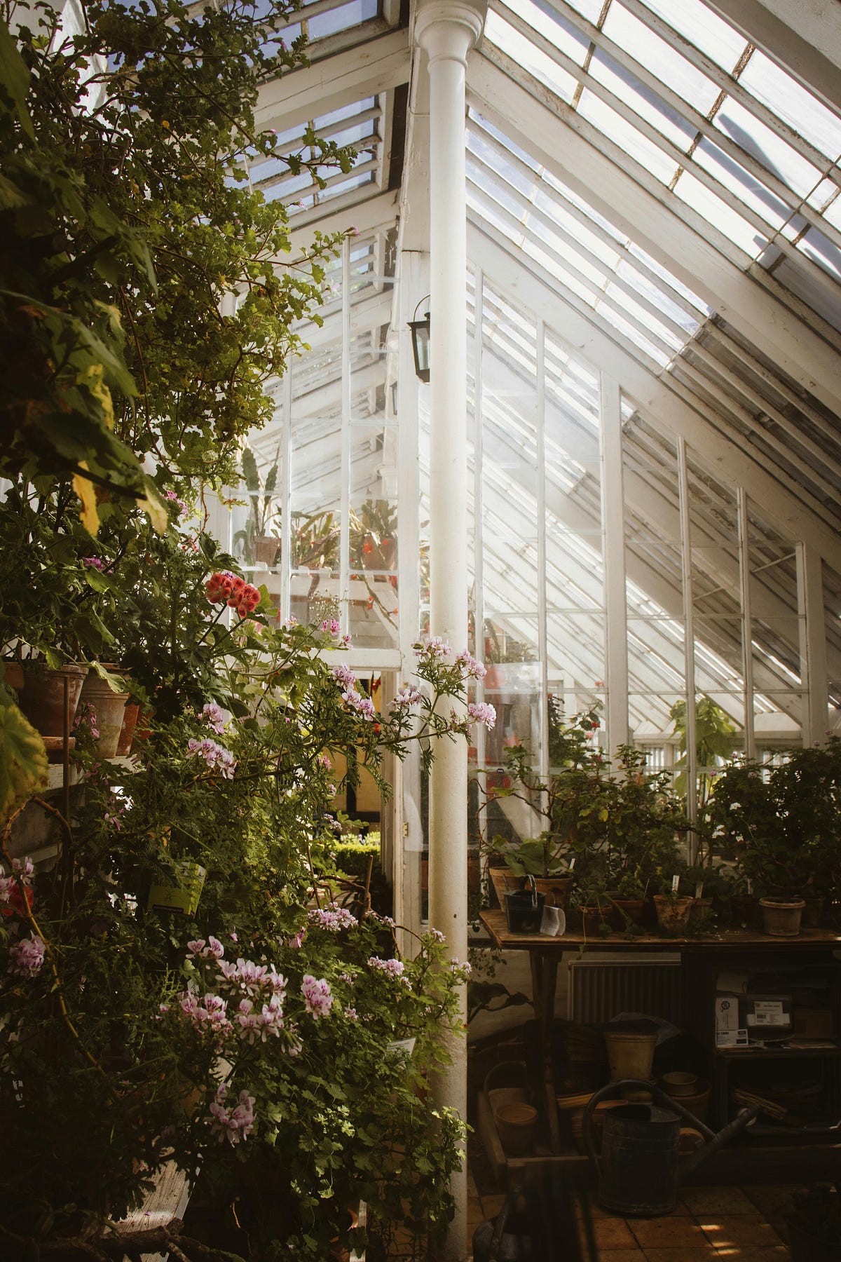 Kyoto’s Ryoan-ji: The Zen of Rock Gardens | by Yin-Le Wang | Medium