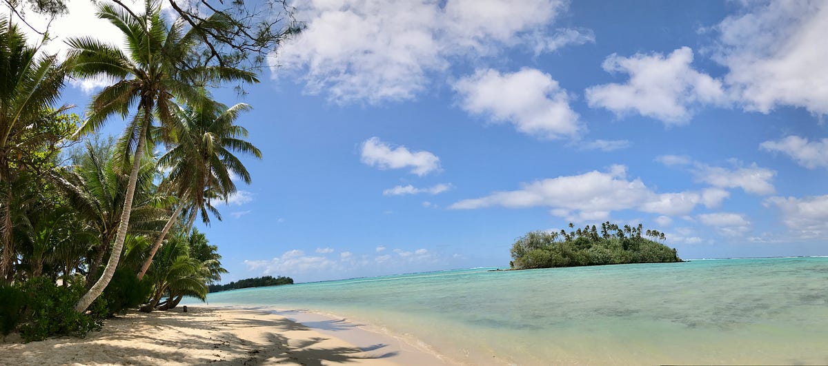 Tropical Vibes That Will Have You Craving the Sun | by Aarti Tailor ...