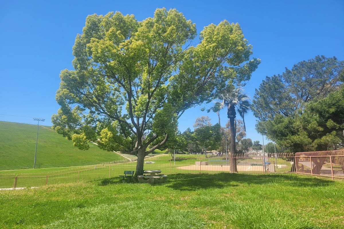 Residents Dream of Safe, Multi-Use Parks in Reseda and Pacoima | by ...