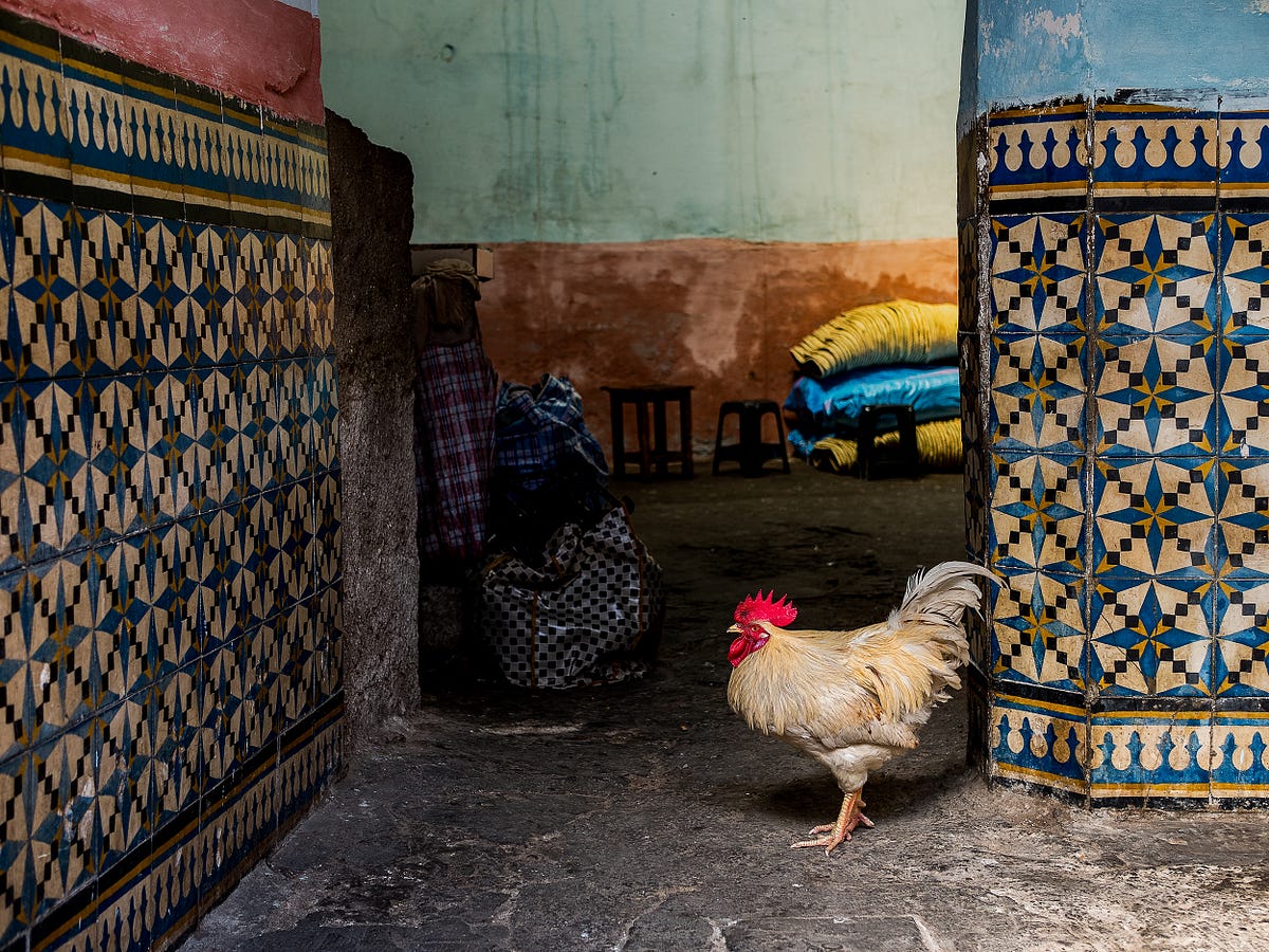 Orwell’s Marrakech: Redux. In 1939 George Orwell wrote an essay… | by ...