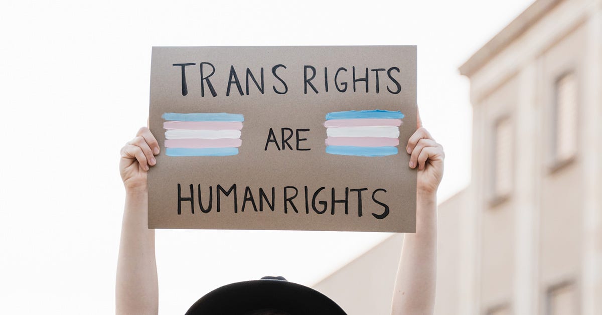 Be human, be a hero — Primer for transgender allies | by Haylen Rose ...