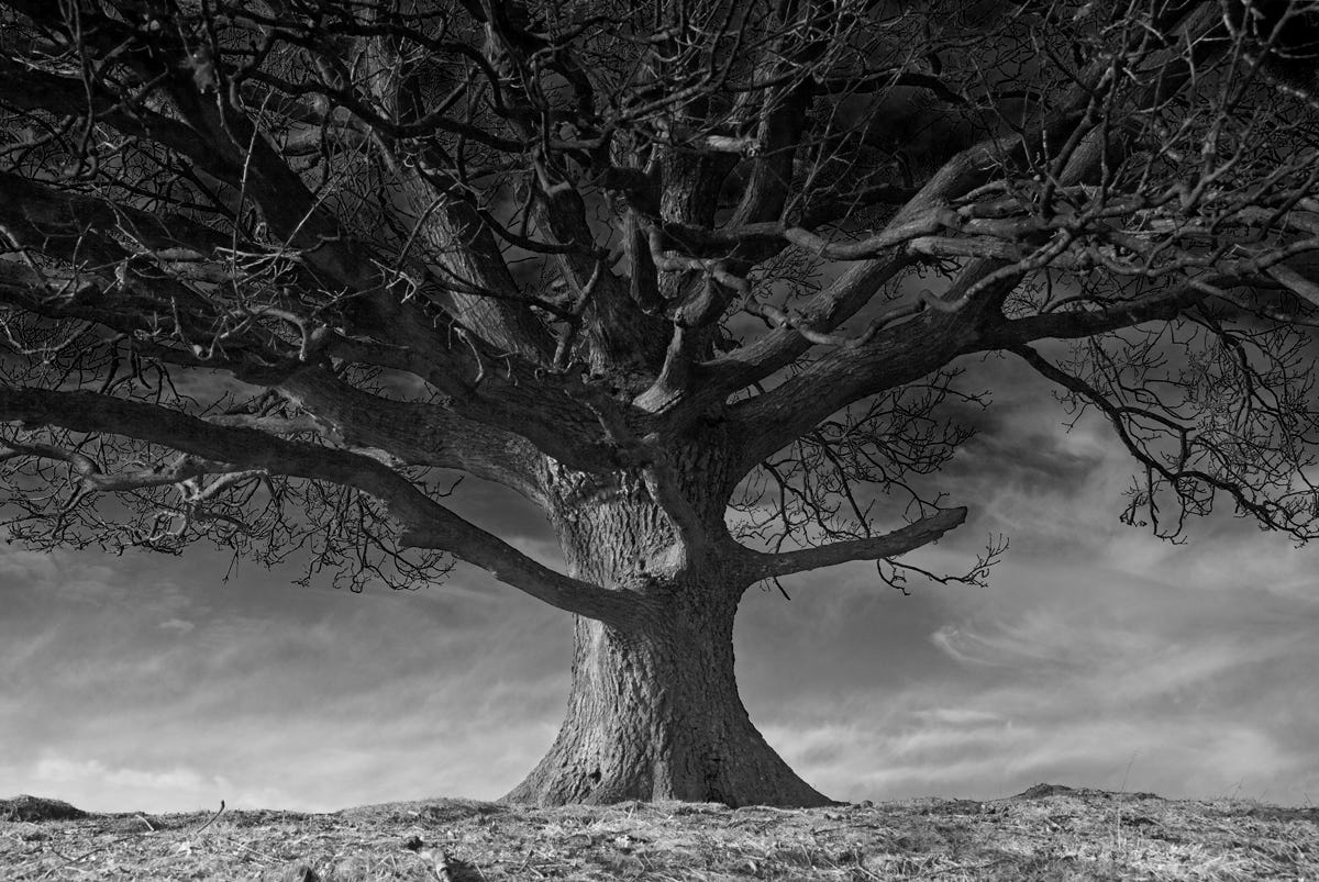 Gray. Feeling Of Emptiness | by Sandhya Ganesh | Blue Insights | Medium
