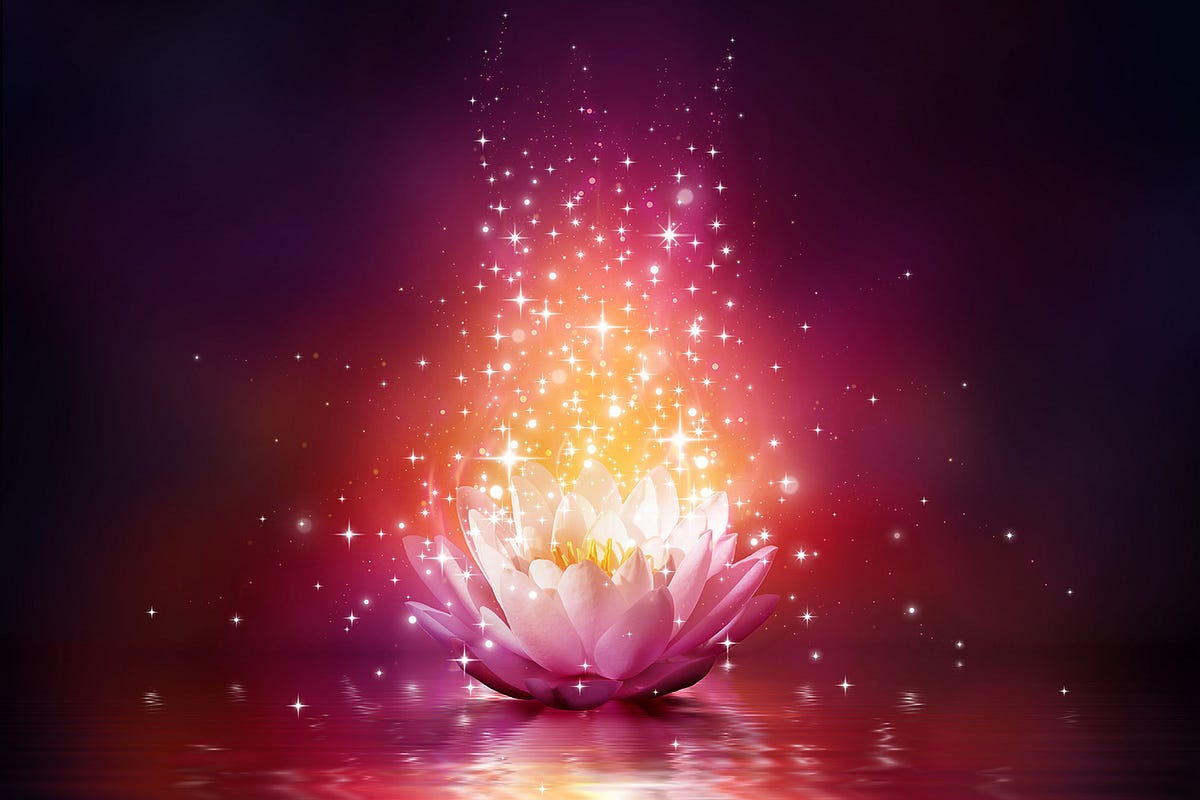 Holy Shift!. If you took your “happiness”… | by Stephanie Eike | Medium