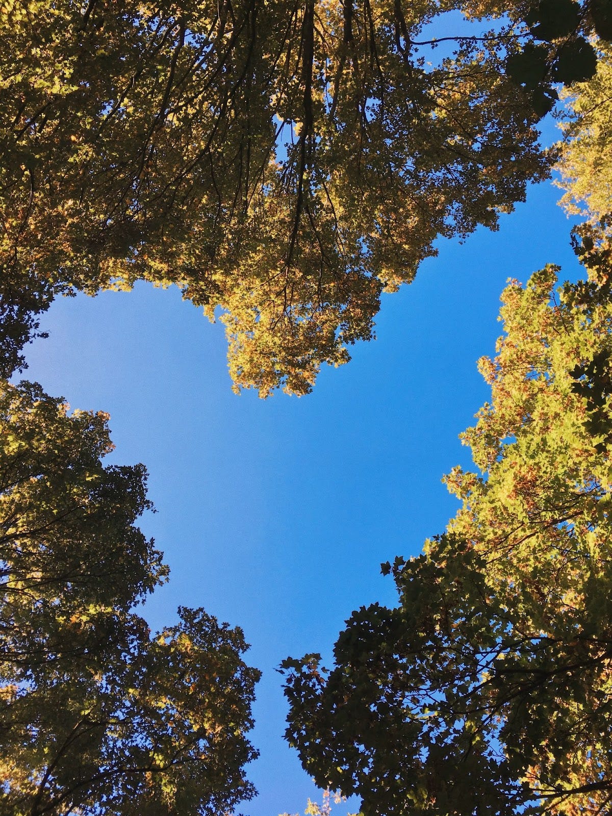 Gratitude and Awareness. Having heard and read about ‘Gratitude’… | by ...