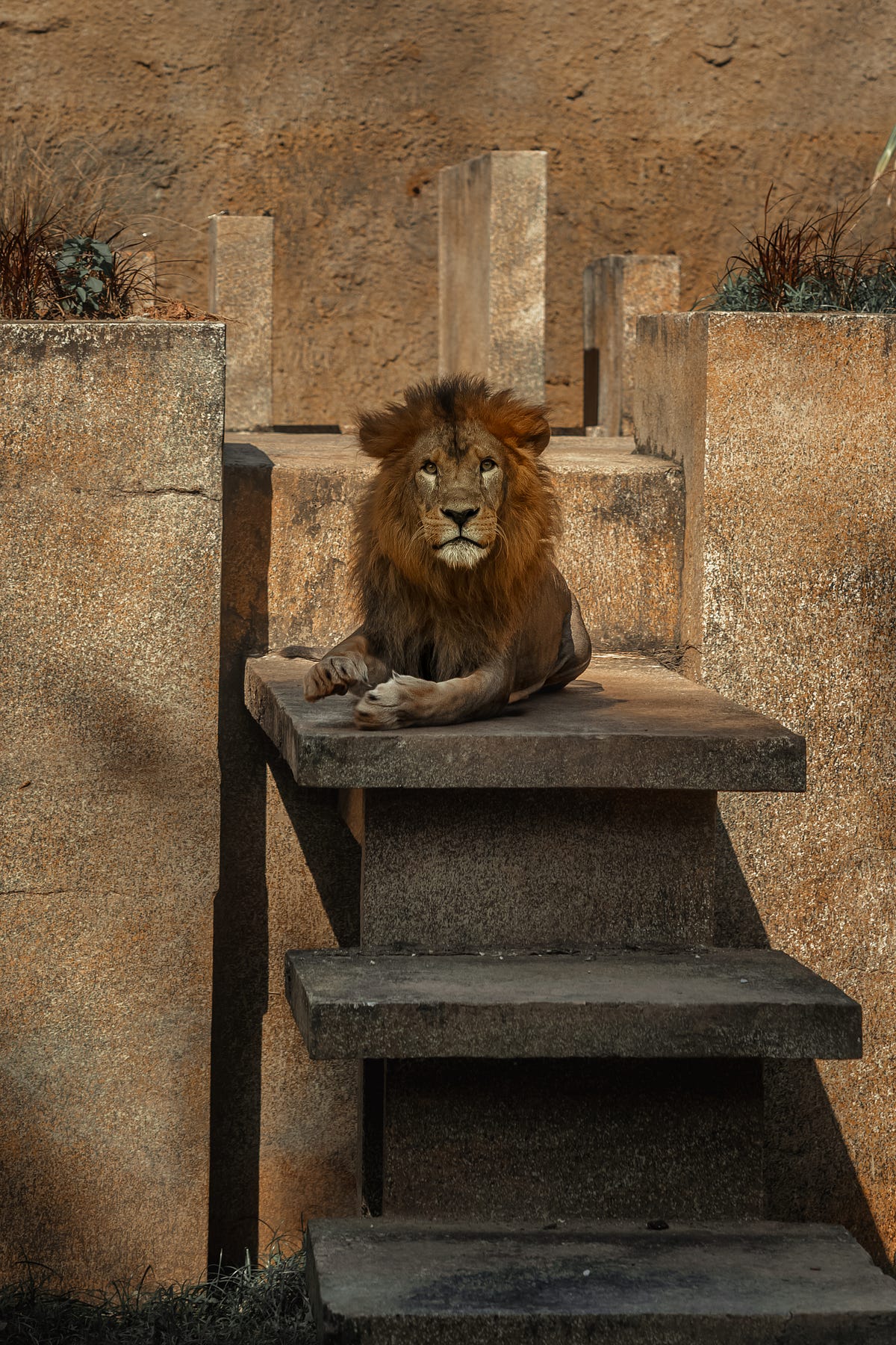 Why Real Estate is still the King of Investments? — a Preamble | by Buy ...