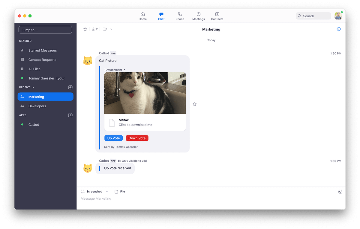 Catbot Tutorial using Zoom Chatbot CLI | by Tommy Gaessler | Medium