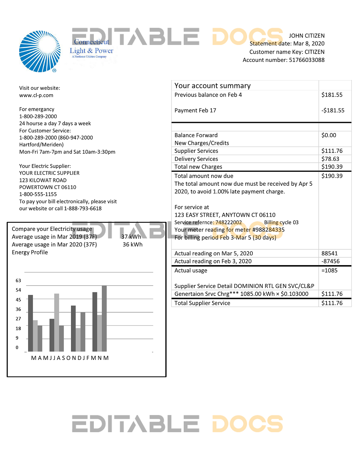 USA Connecticut Light & Power electricity utility bill in Word and PDF ...