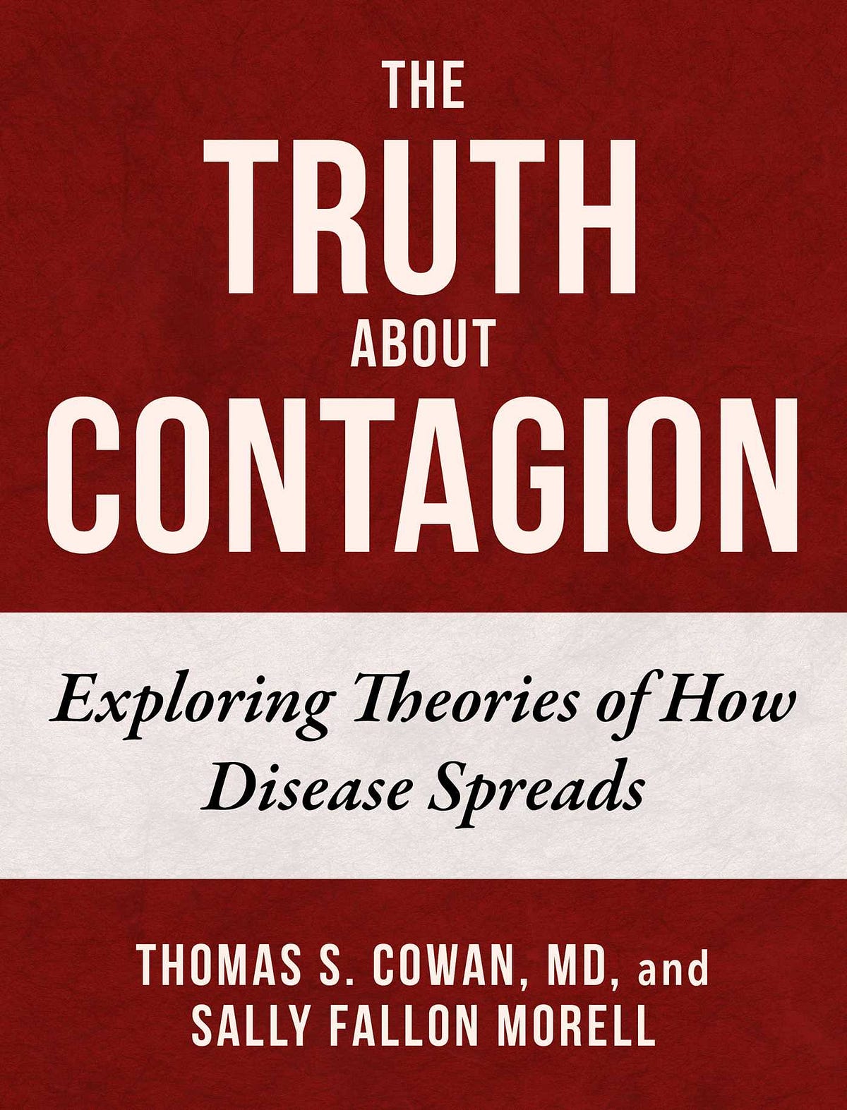 PDF Download The Truth About Contagion: Exploring Theories of How ...
