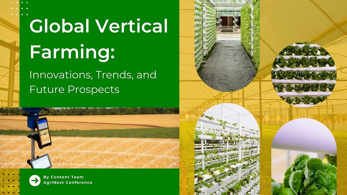 Global Vertical Farming: Innovations, Trends, and Future Prospects | by ...