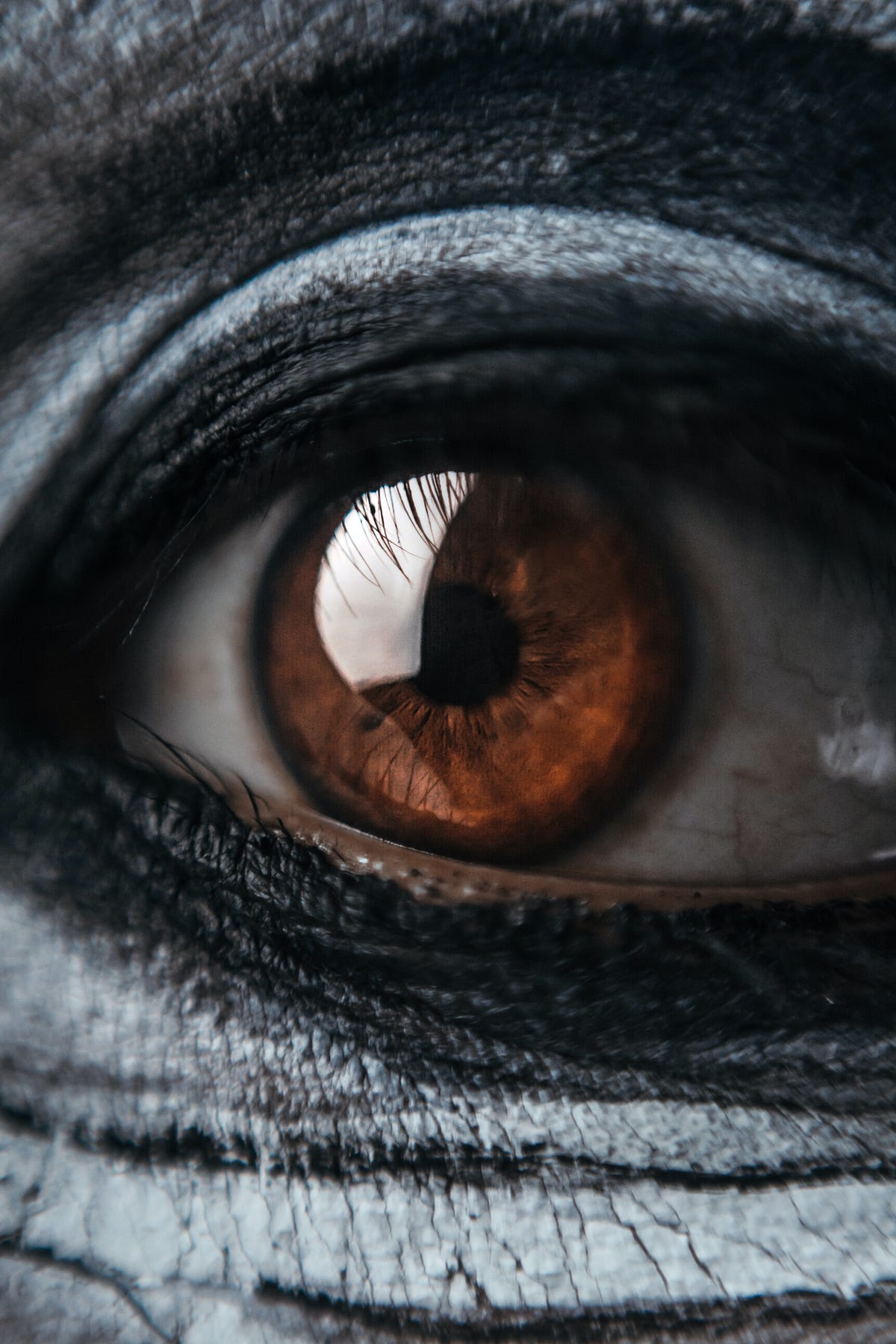 Monster, i - Michael R McNeely - Medium