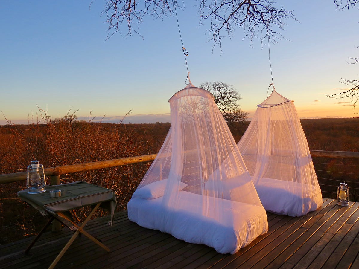 4 Best Travel Nets for Your Upcoming Trip — Portable | by Tropical Page ...