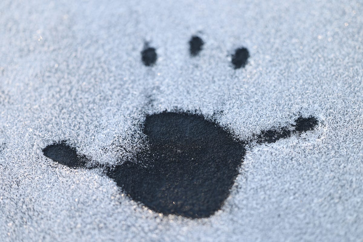 Handprint - 2-Bite Stories - Medium