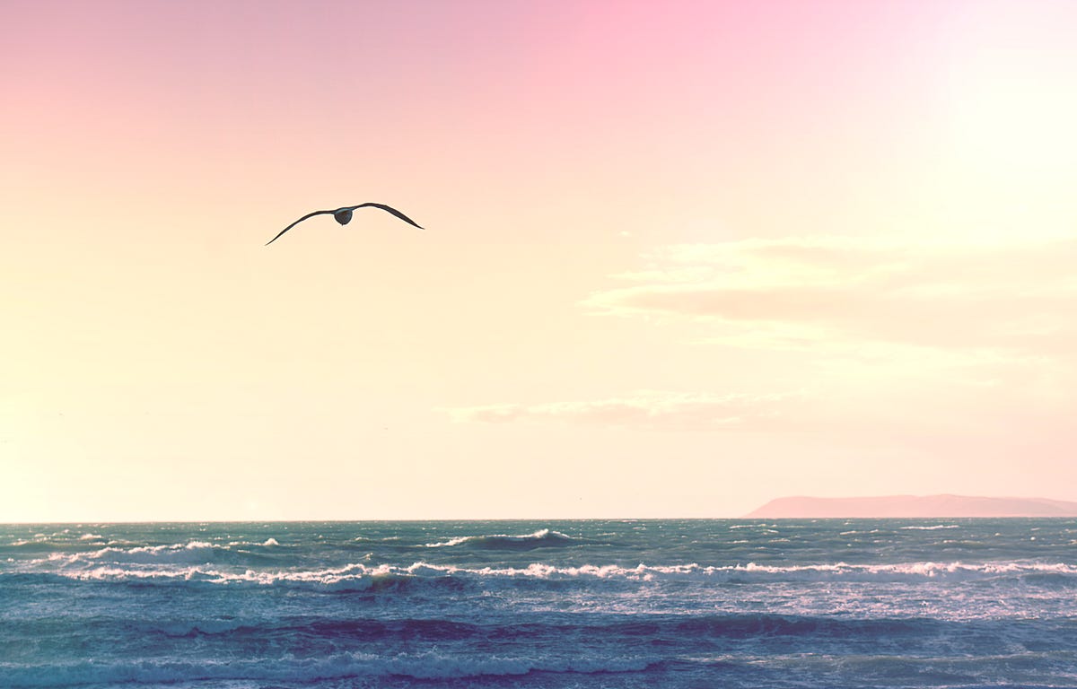A DevOps Journey. There have been a number of aha moments… | by Jon ...