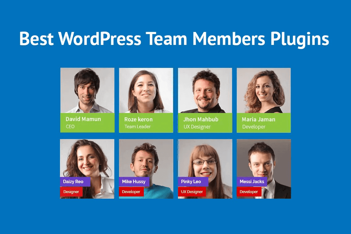 Wordpress Team Members Plugin: Elevate Your Team Page! | by Steven ...