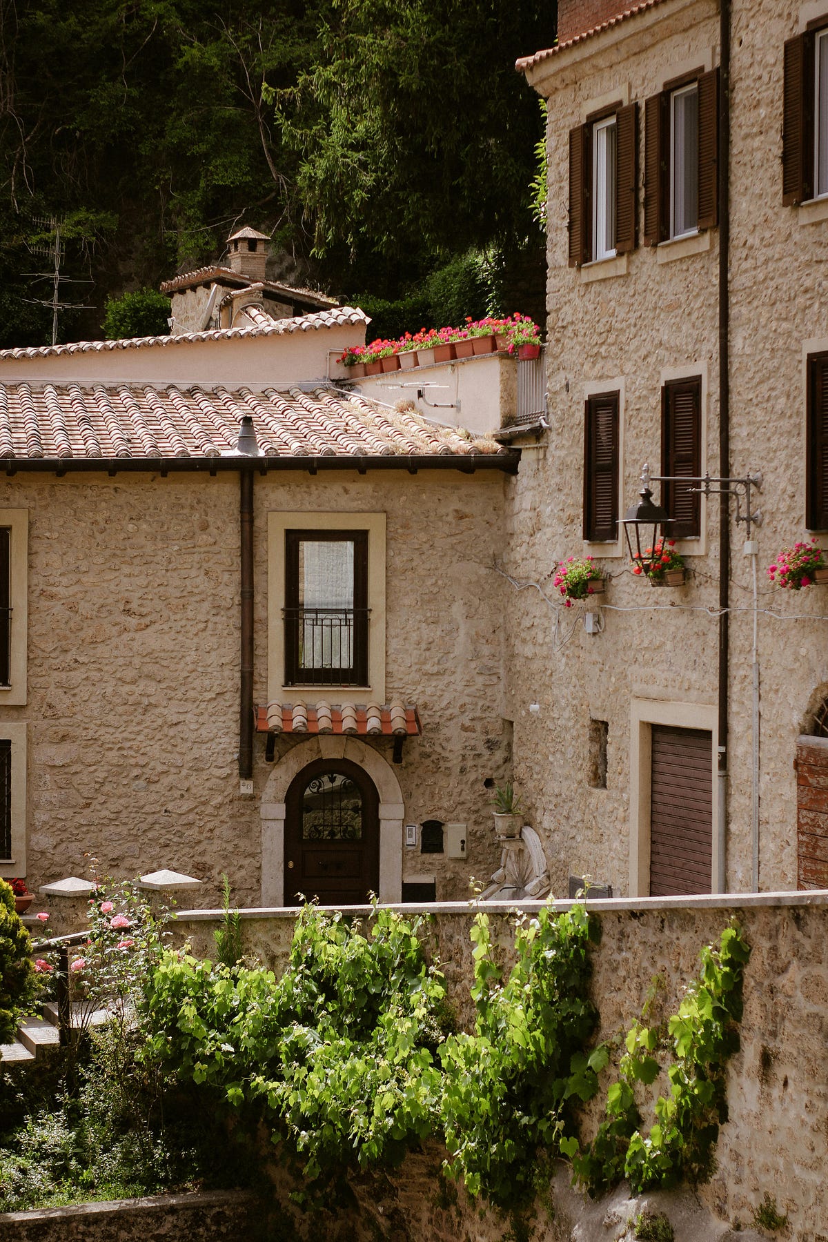 After thoroughly researching and analyzing the impact of living without ...