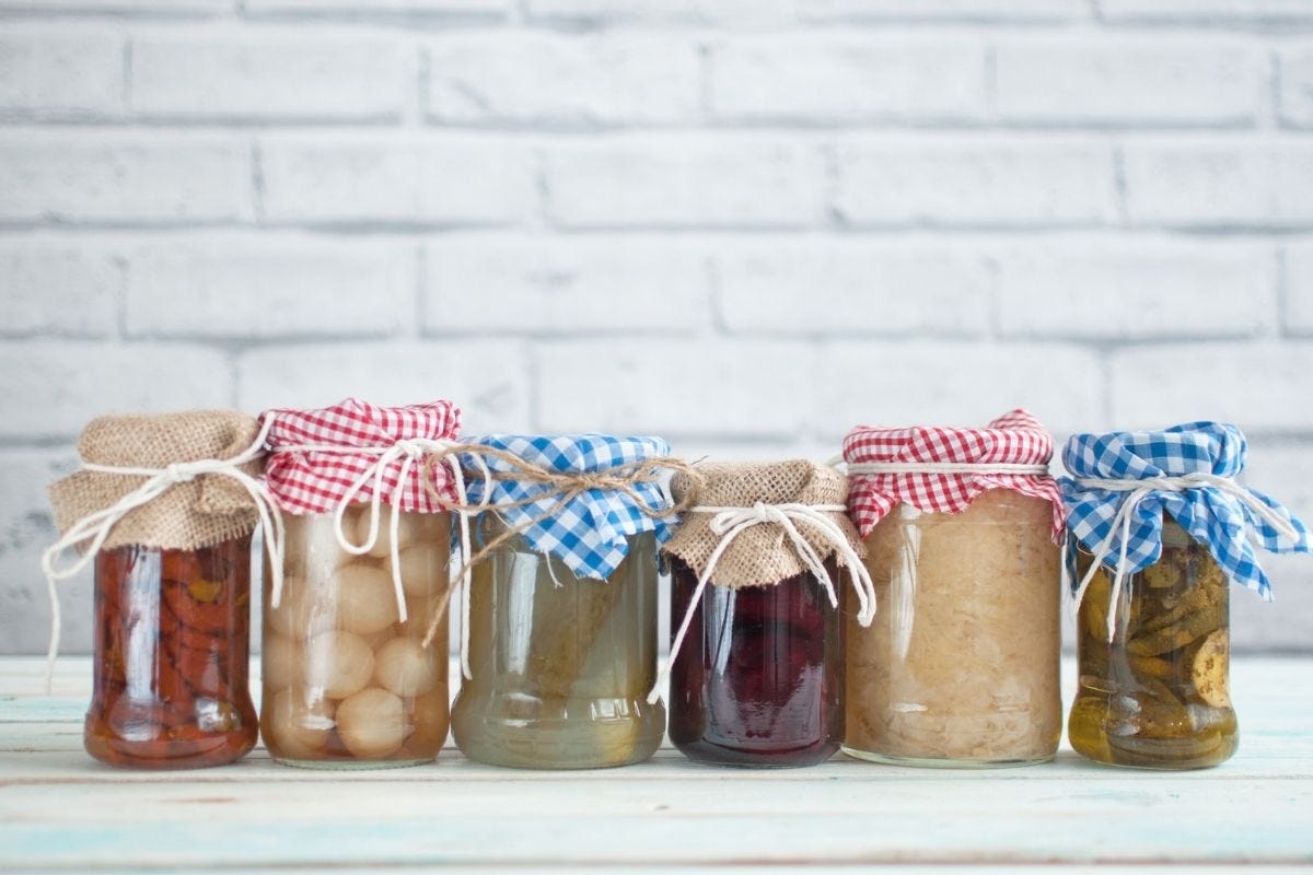 4 Steps to a Healthy Intestinal Flora | by Probiotics Line | Medium