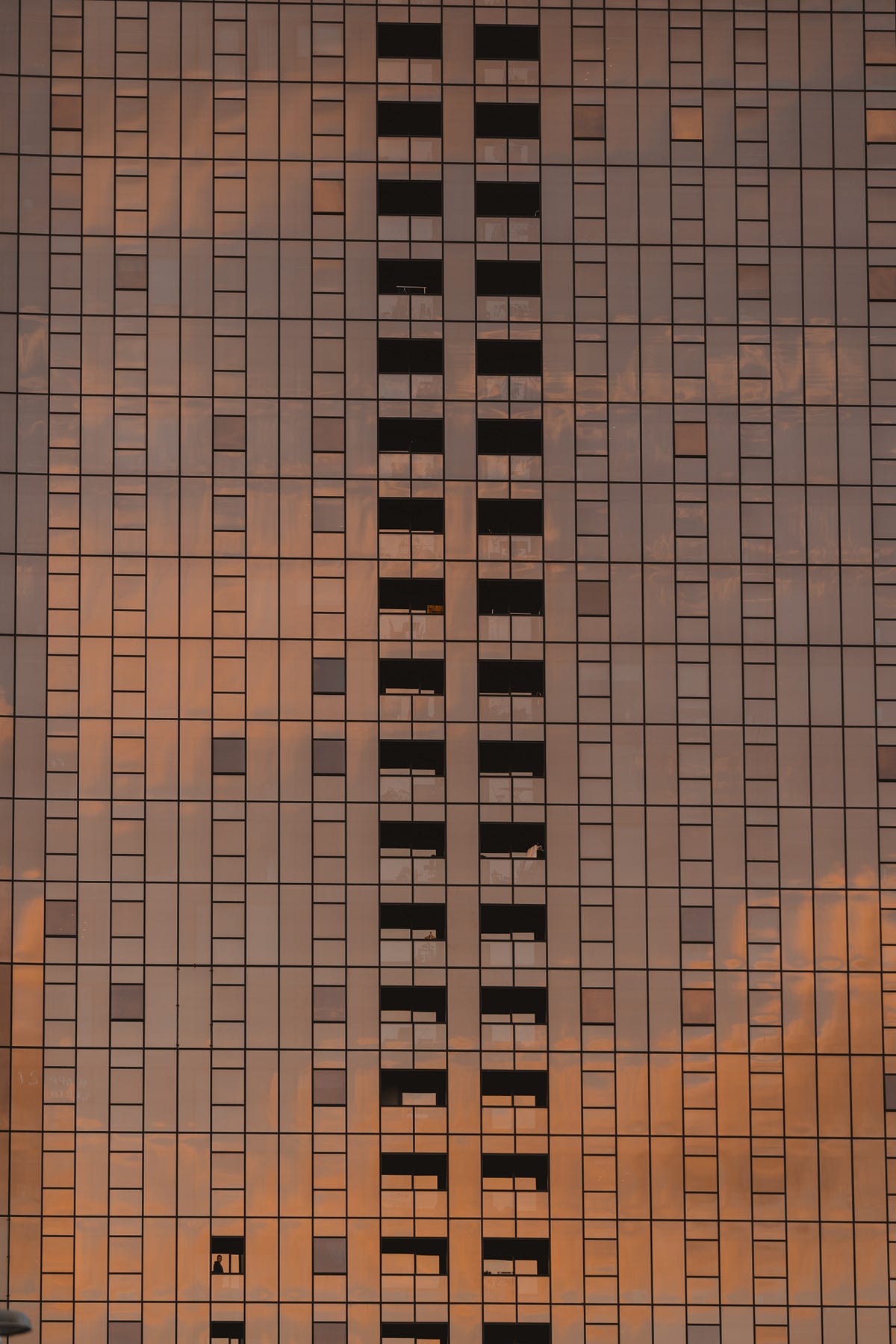 Leet Code Solution : 74. Search a 2D Matrix | by LeetCodein5Minutes ...