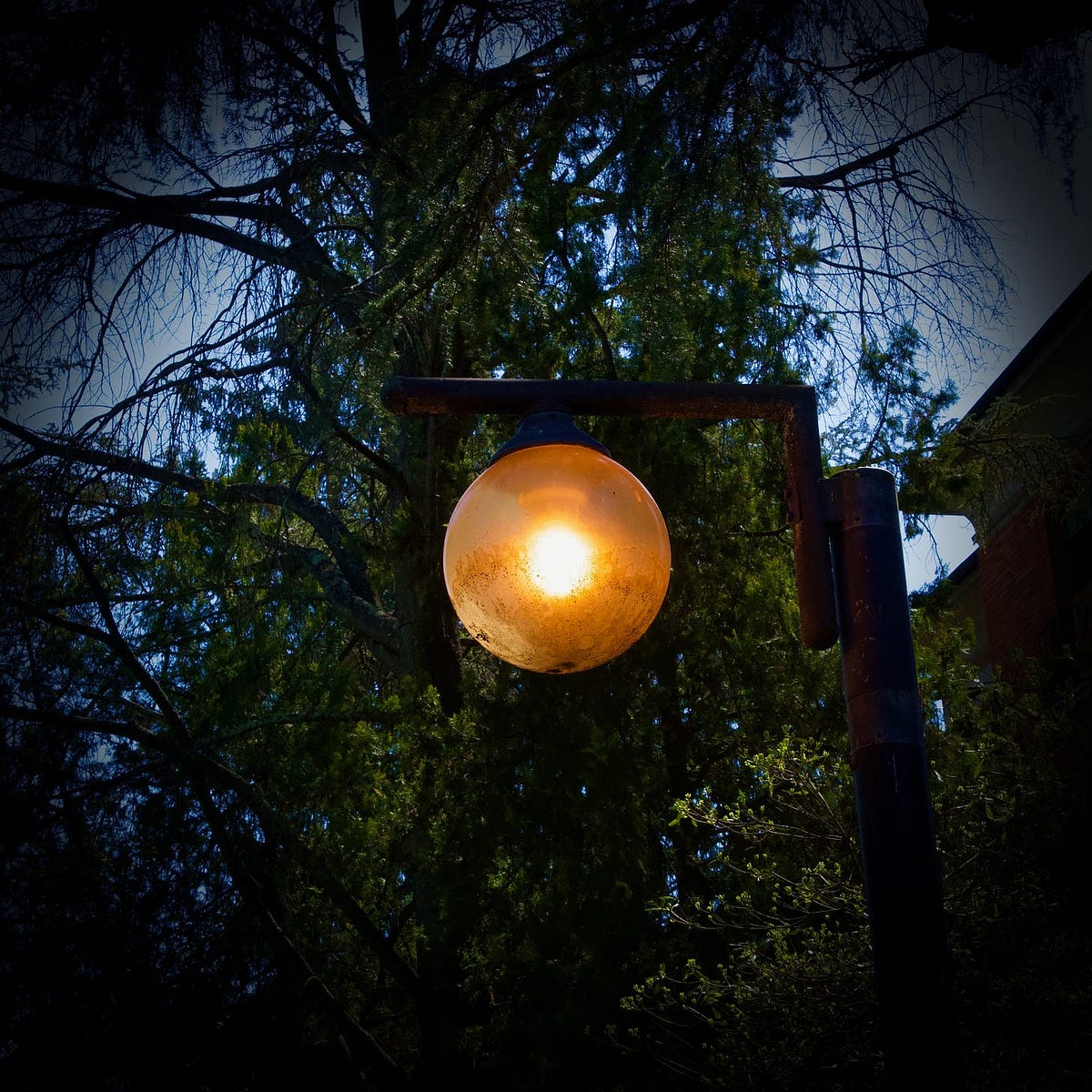 The Dark Side of Intention. Discovering how to identify and work… | by ...