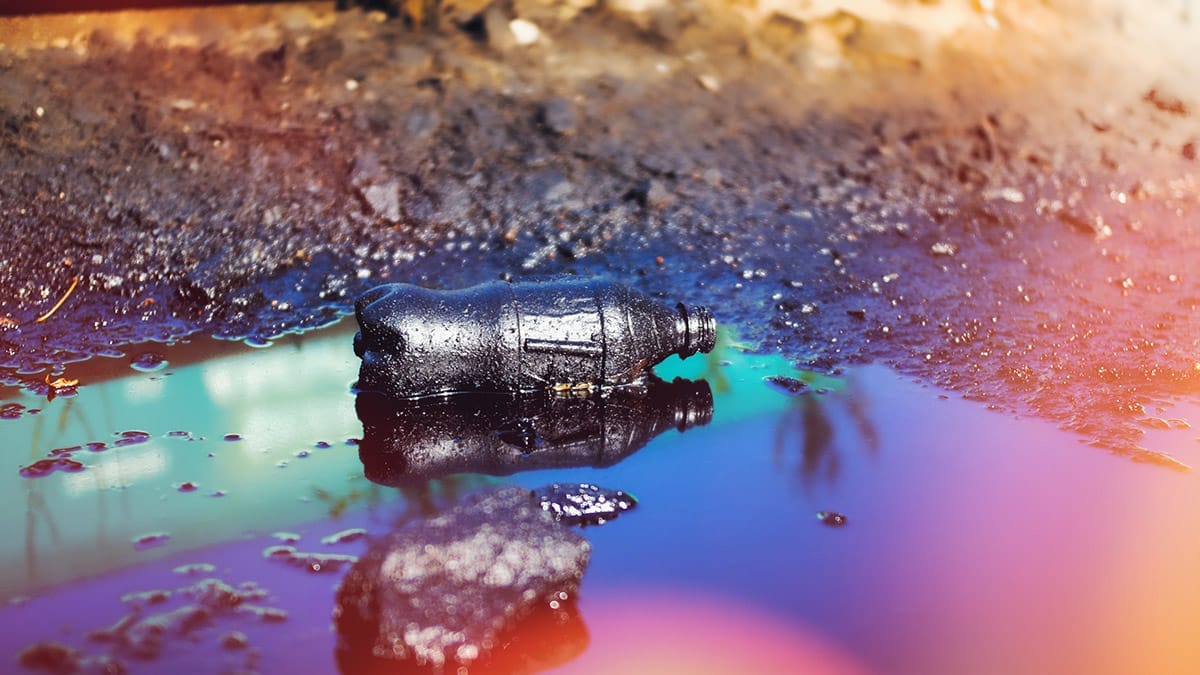 Waste Management For The Busy Artist Who Loves Our Planet | by Viviana ...