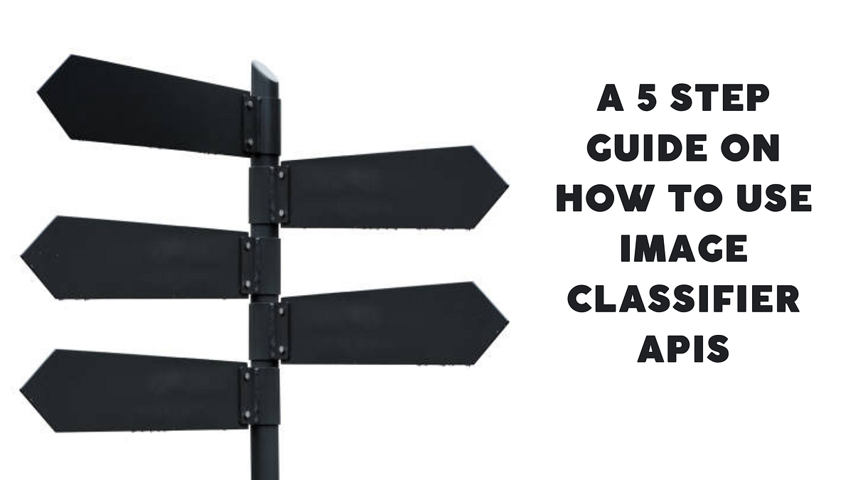 A 5 Step Guide On How To Use Image Classifier APIs | by ...