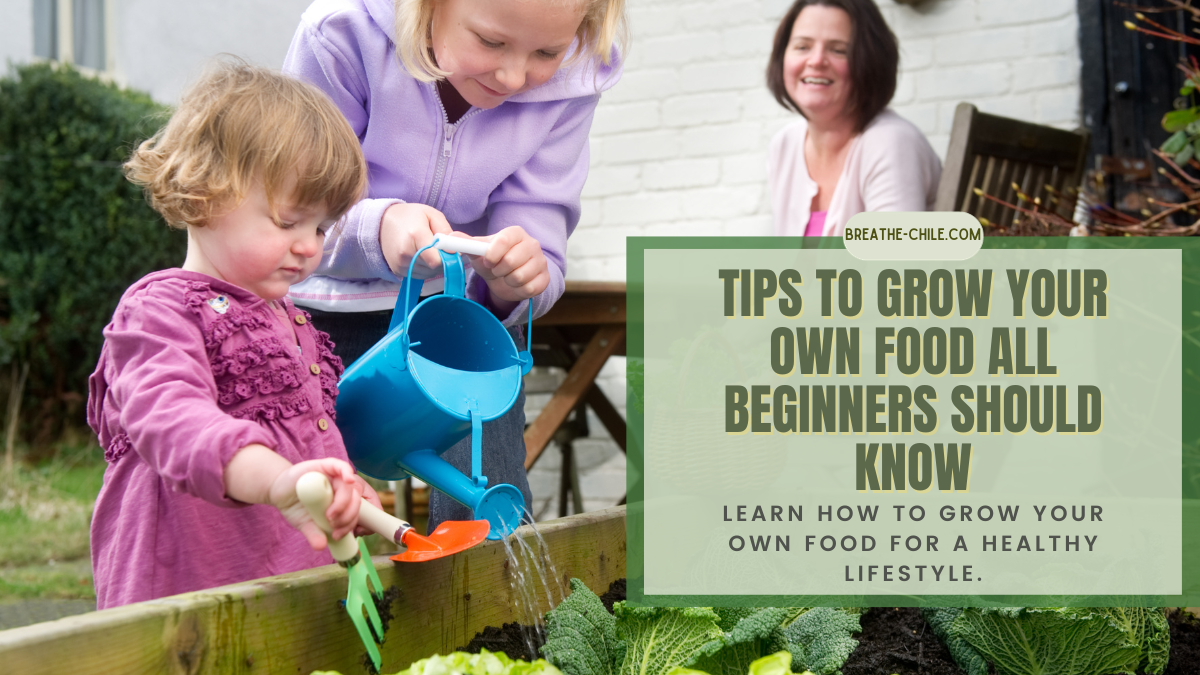 Tips to Grow Your Own Food All Beginners Should Know | by Breathe Chile ...