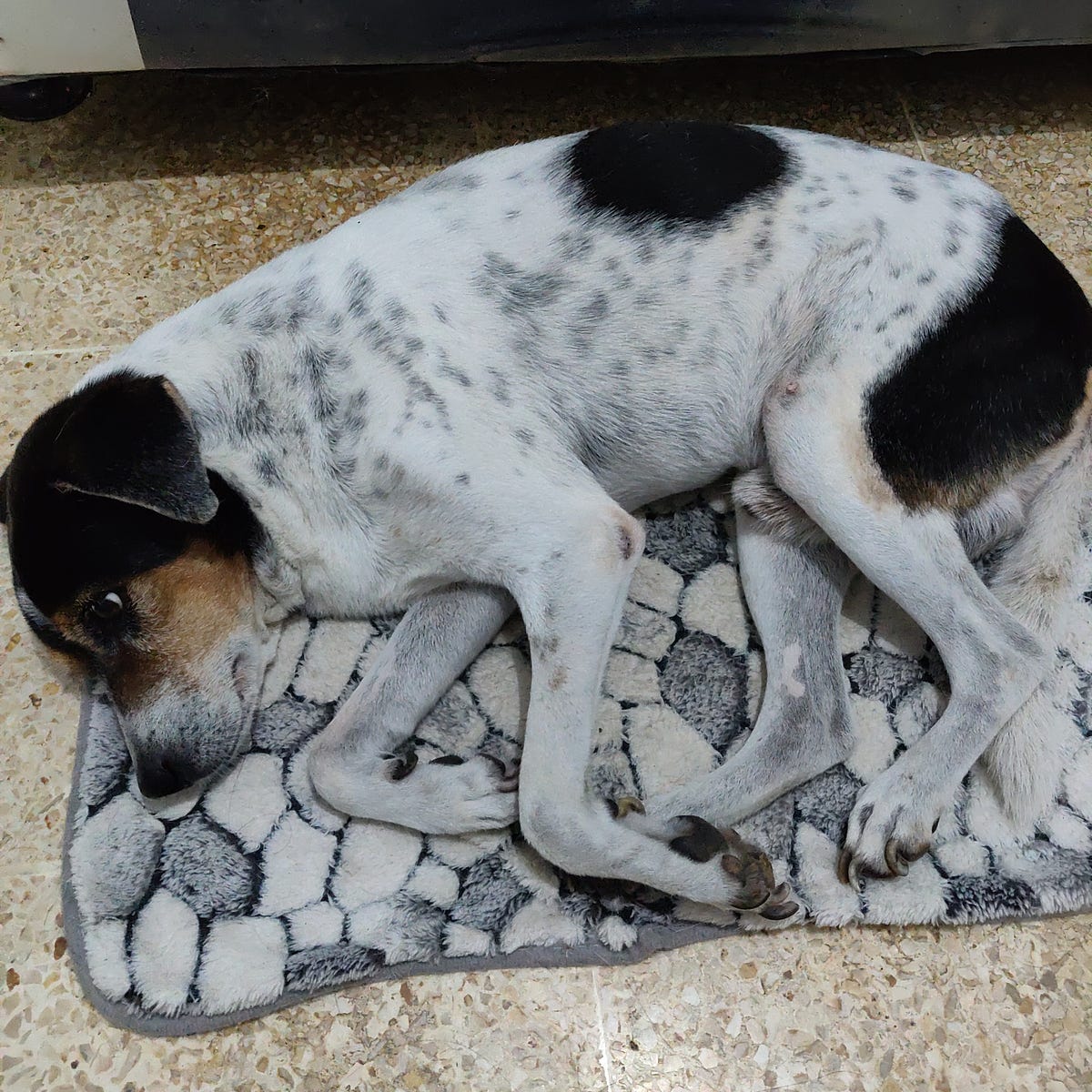 I’m Jealous of All the Angels Who Can Play with You — Tulisan Sekar Langit | by Sekar Langit ...