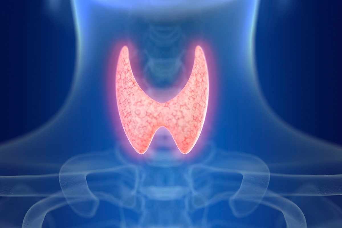 Understanding and Managing Thyroid Disorder Hypothyroidism | by ...