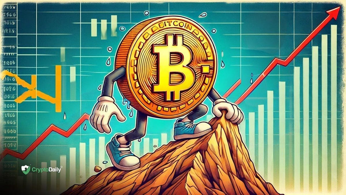 This One Crypto On-Chain Signal Helped Me Sell Before the 2021 Top ...