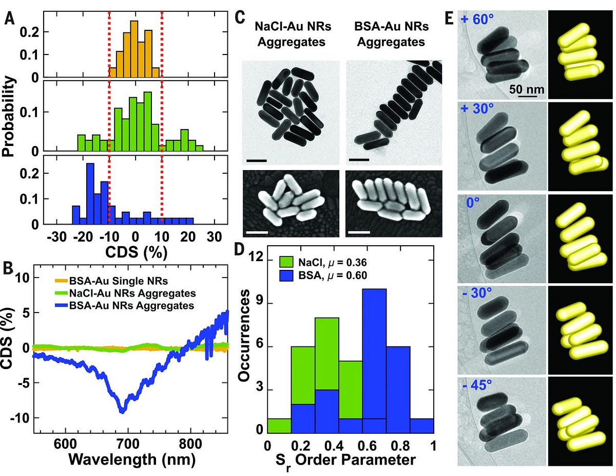 Unraveling the origin of chirality from plasmonic nanoparticle-protein ...